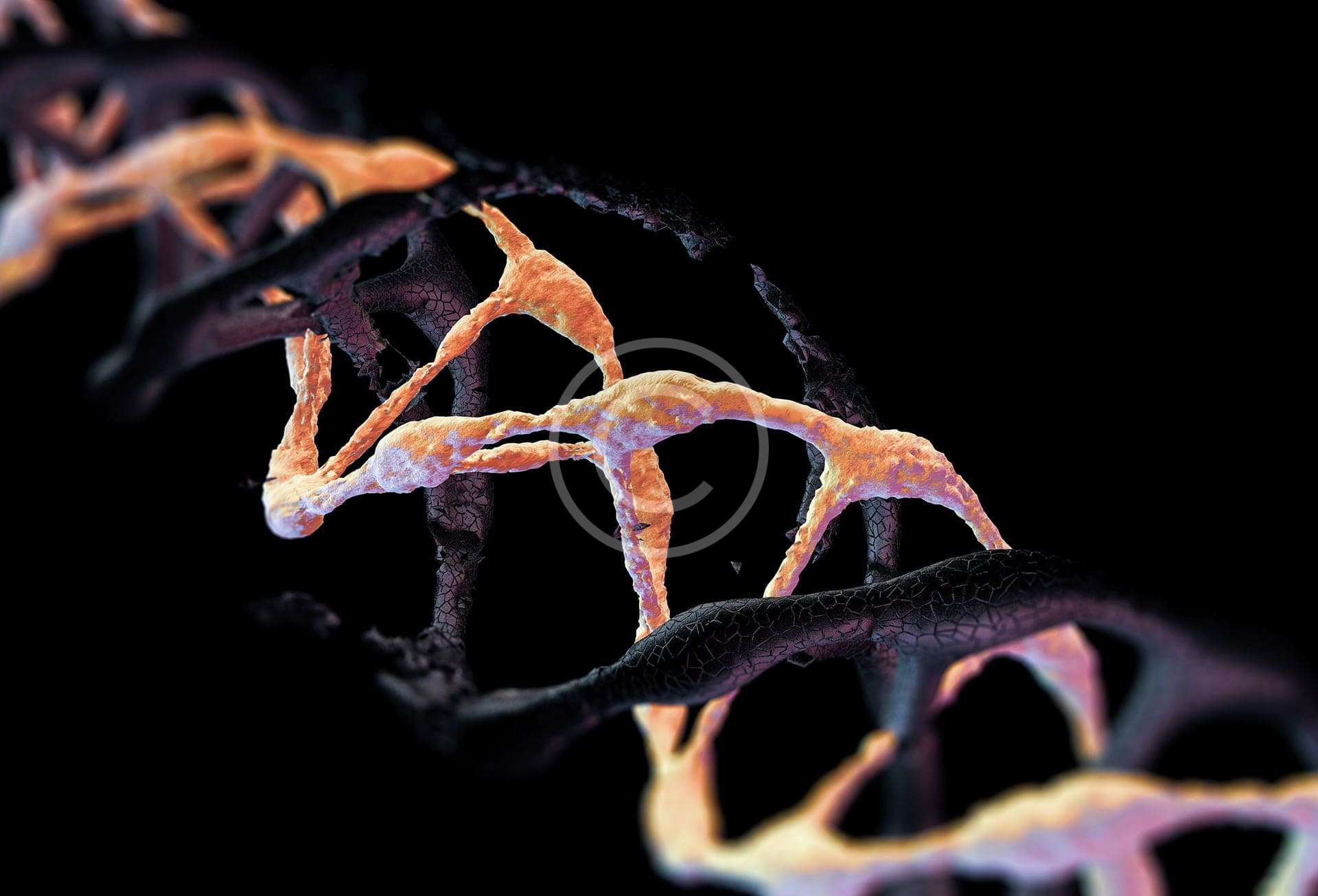 Oncological screening – SGS Biotech